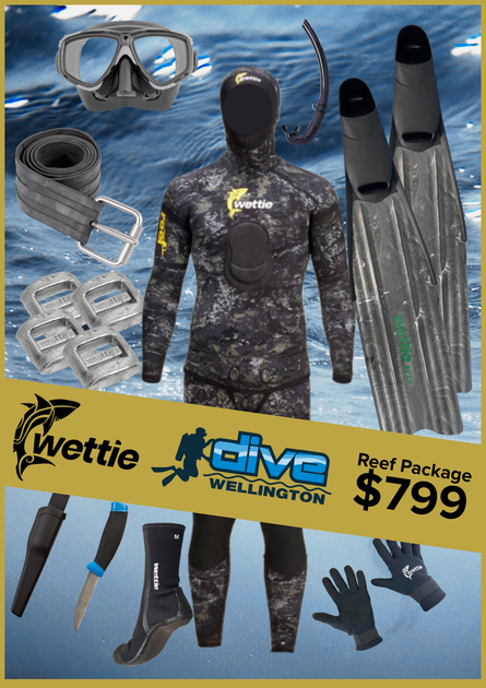 Reef Freediving Package – divewellington