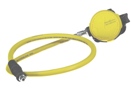 Titan/Calypso Octopus – divewellington