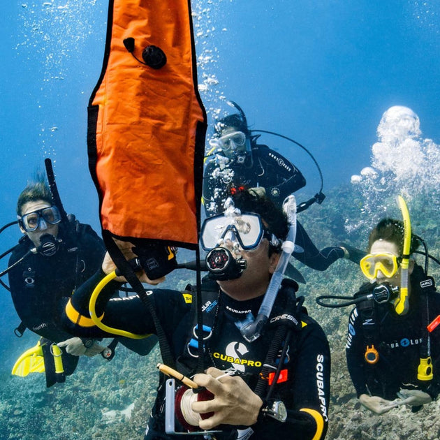 DSMB Diver Specialty – divewellington