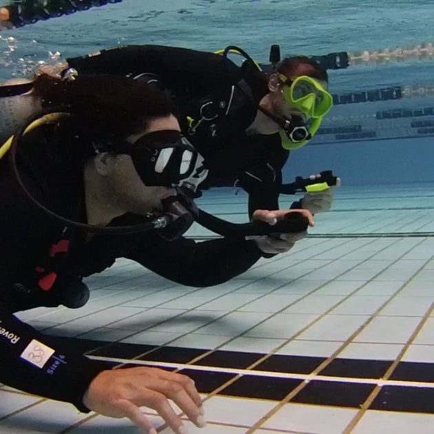 Pool and Sea Combined Refresher Course – divewellington