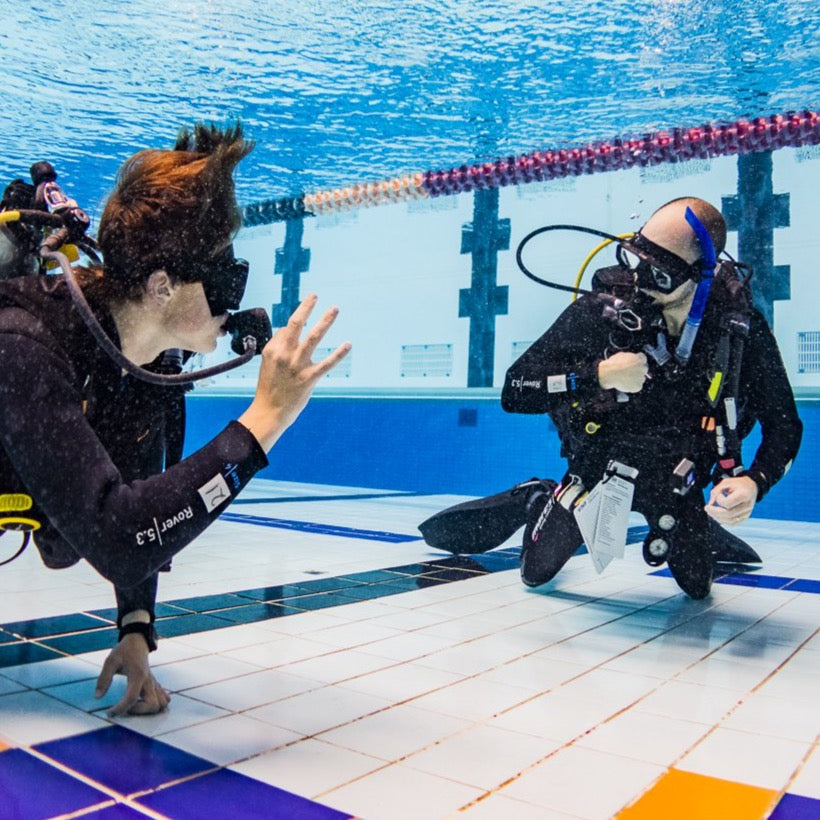 Dive Courses – divewellington